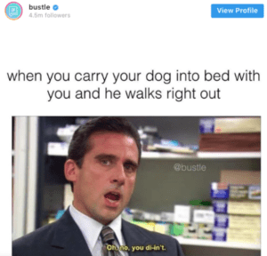 10+ Memes About Being Rude