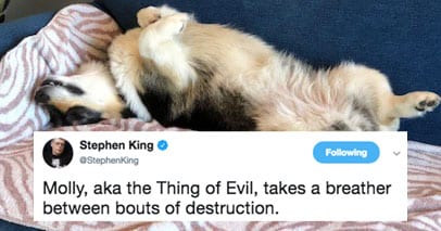 Stephen King's Real-Life Horror Is His Corgi, "The Thing of Evil"