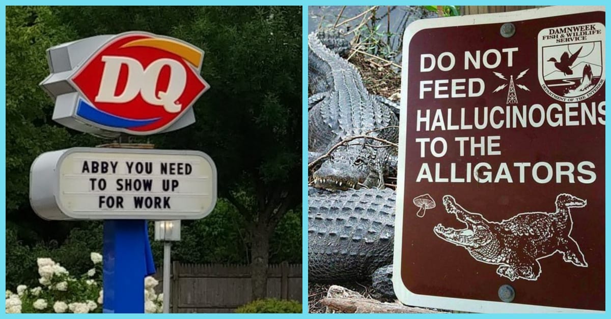 10 Hilarious Signs Written by Evil Geniuses
