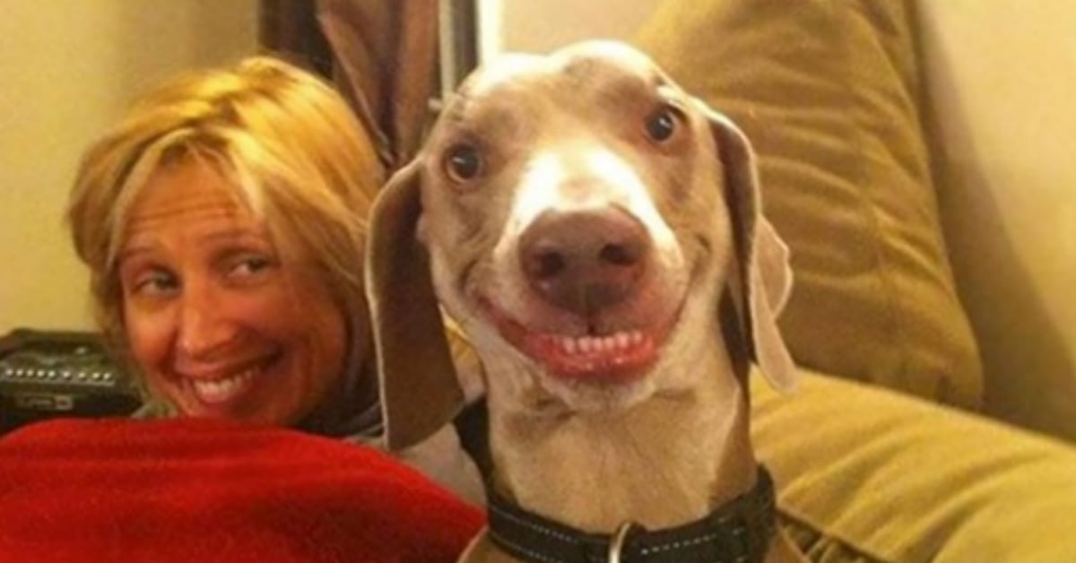 10 Photos Of Dogs Being Weird And We Love It