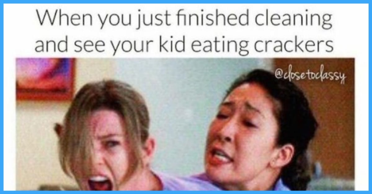 14 Cleaning Memes That Will Distract You From Doing the Dishes. Which ...