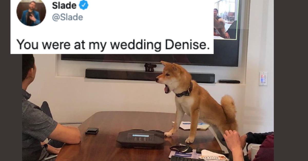 15 Hilarious Memes to Help Get You Through This Week