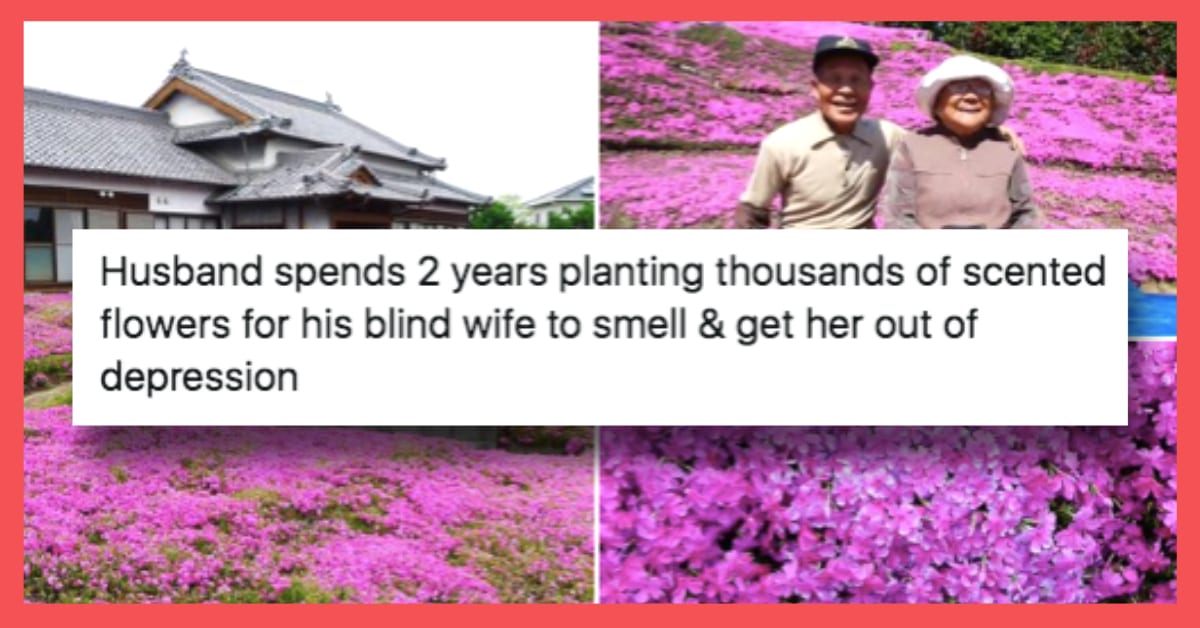 15 Feel-Good Memes That Might Make Your Day Better