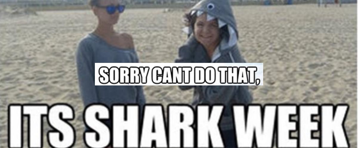 15 Shark Week Memes
