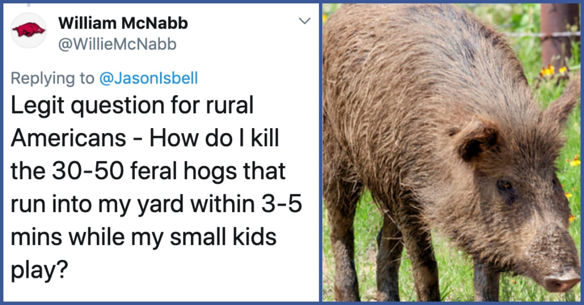 9 Memes Responding to the Guy Who Needs an Assault Weapon to Combat ...