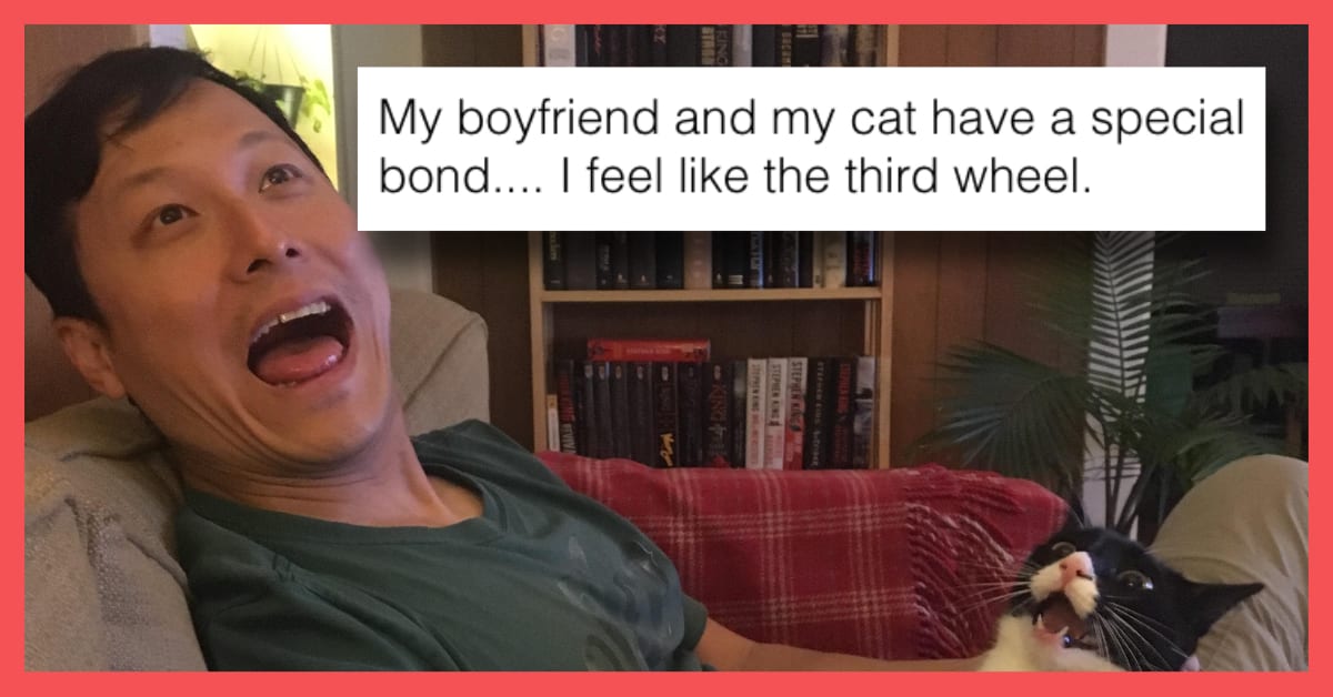 12 Randomly Funny Posts That Might Make Your Day