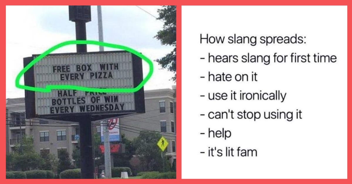 13 Funny Memes That Embrace the Silly