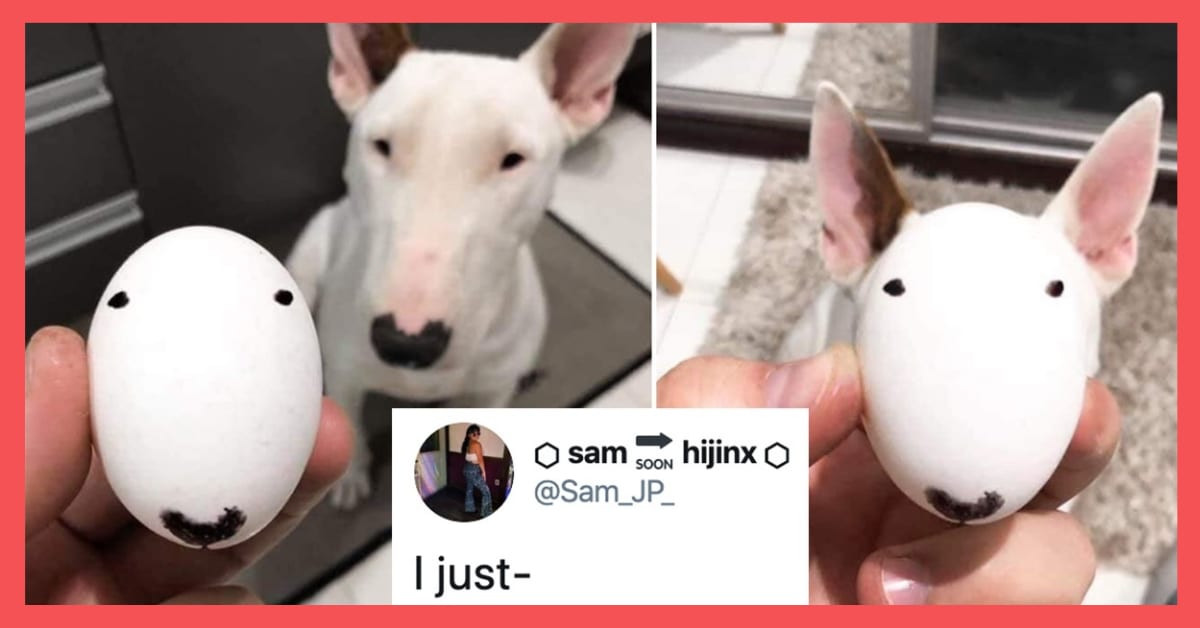 15 Tweets About Doggos That Might Make You Beg for More