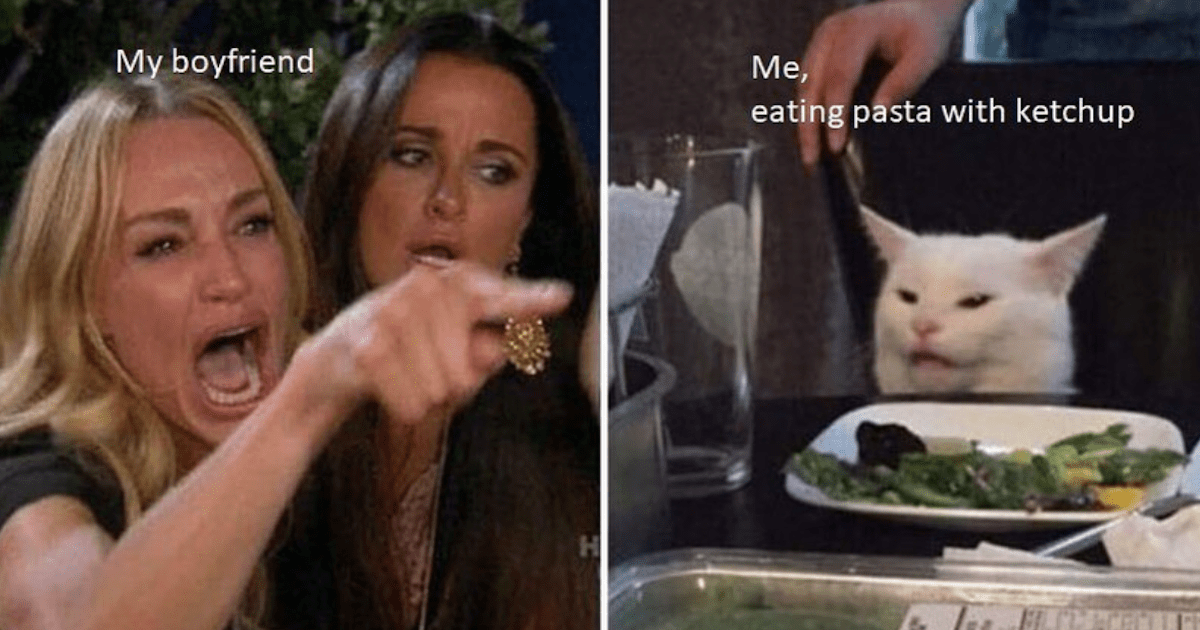 10 of the Best ‘Woman Yelling at a Cat’ Memes We Could Find