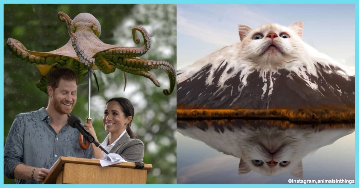 15 Times Animals were Perfectly Photoshopped into Random Things