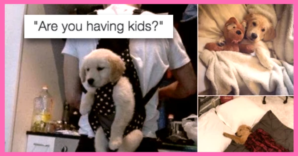 12 Memes For People Who Are Childless And Happy — You Have Plenty Of ...