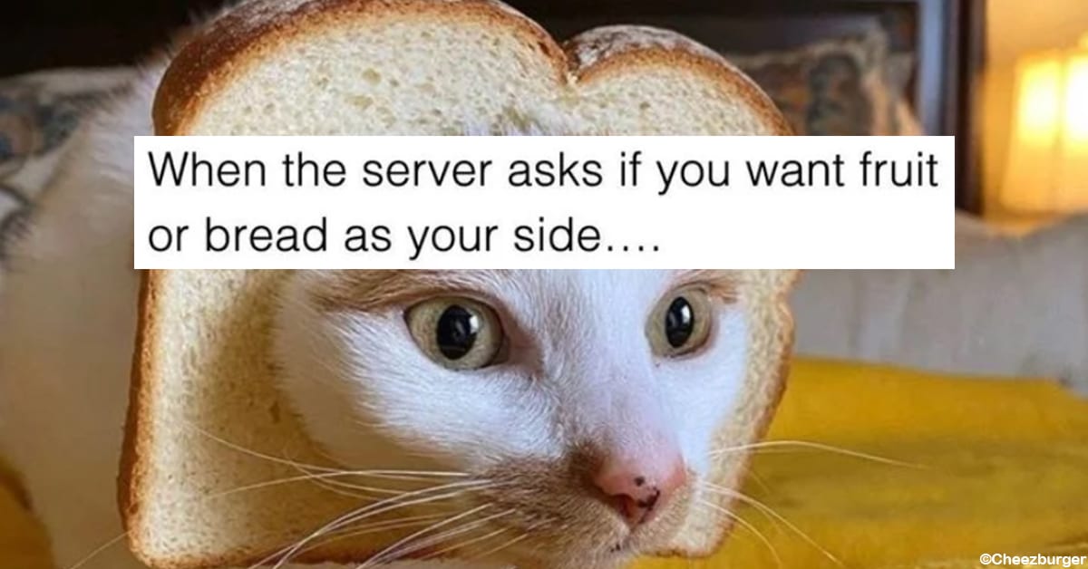 12 Weird Memes for Everyone Who Needs to Get Strange Today