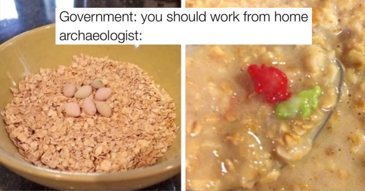 15 Random Memes to Make Your Day a Little Bit Better