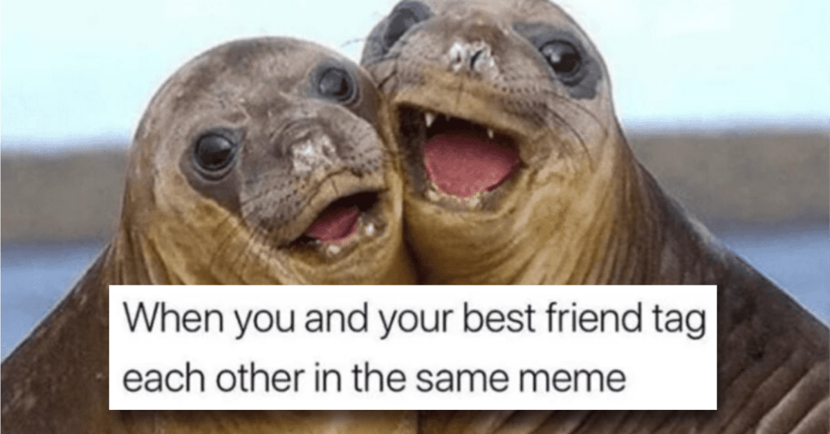 12 of the Best Memes For All the Best Besties Out There