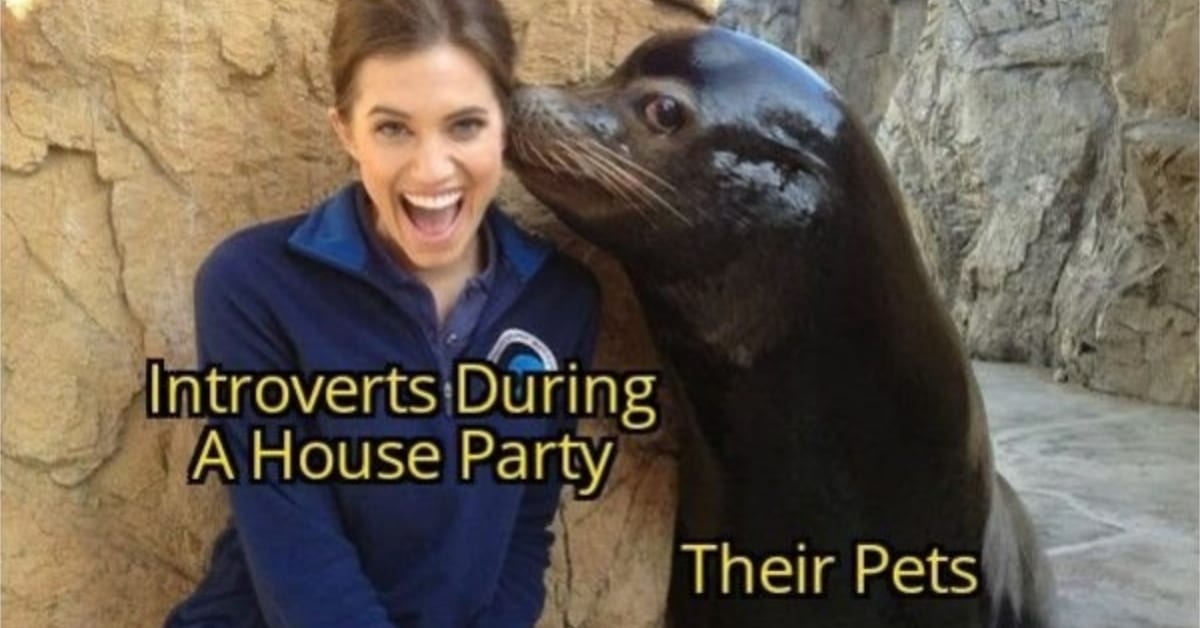 15 Memes for Introverts If You've Got the Energy For Them