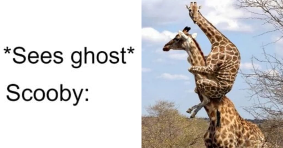 10 Memes that are Just for Giggles