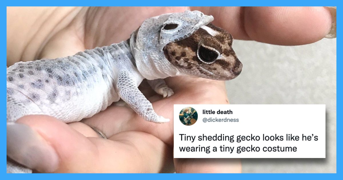 25 Tweets That Are As Random And Funny As They Come